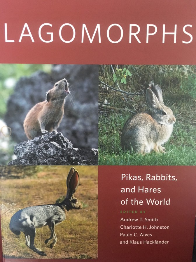 Book Review - Lagomorphs: Pikas, Rabbits and Hares of the World ...