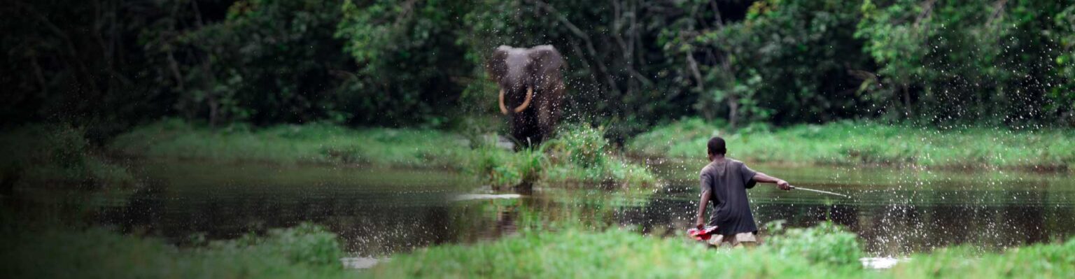 Conservation – Mammal Watching