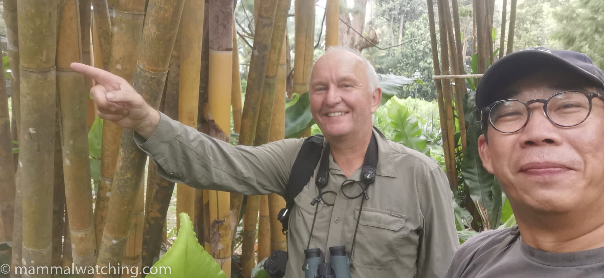 Twenty four hours in Singapore - Mammal Watching