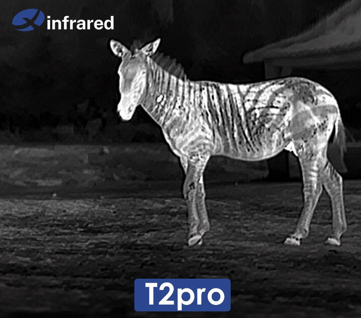 Gear Review: Xinfrared T2 Pro Thermal Camera for smartphones – Mammal ...