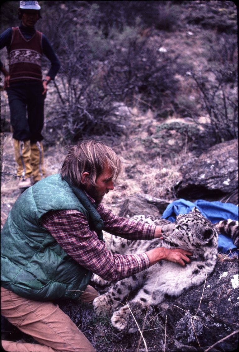 New Podcast Episode: Rodney Jackson talking Snow Leopards – Mammal Watching