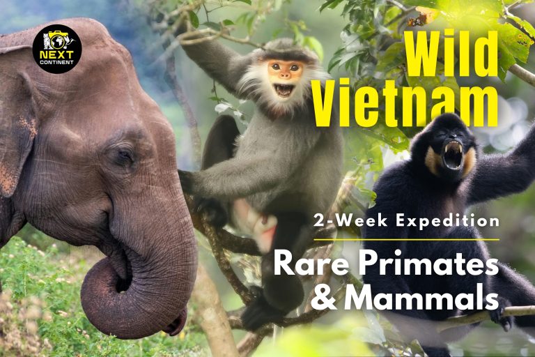 Advertising: Wild Vietnam – Rare Primates & Mammals 2-Week Expedition ...