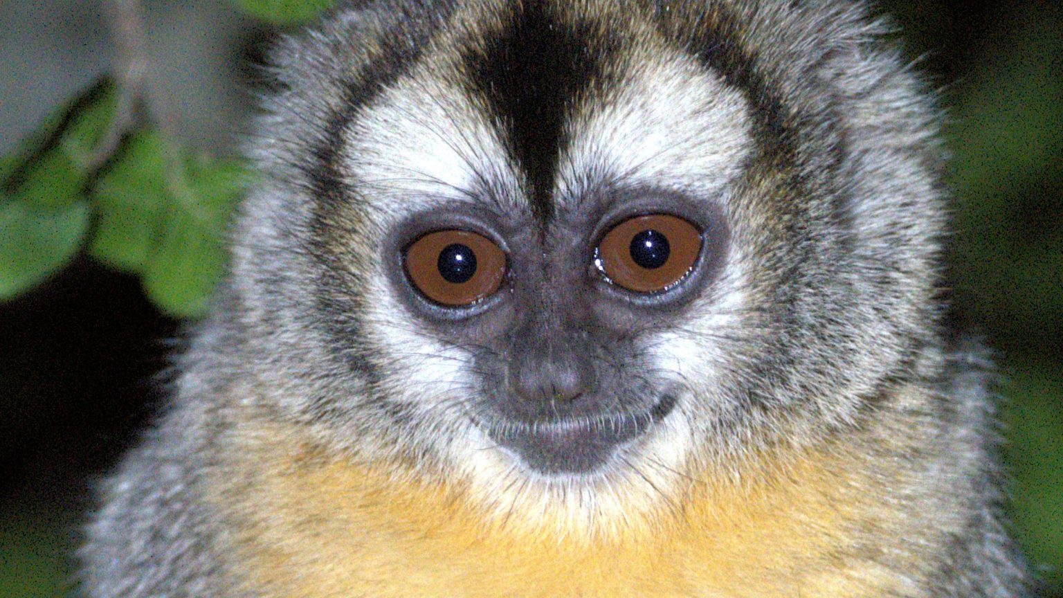 Paraguay Chaco Trip Report August 2025 – Mammal Watching