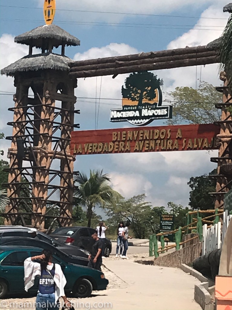 South and Central Colombia, 2020 - Mammal Watching