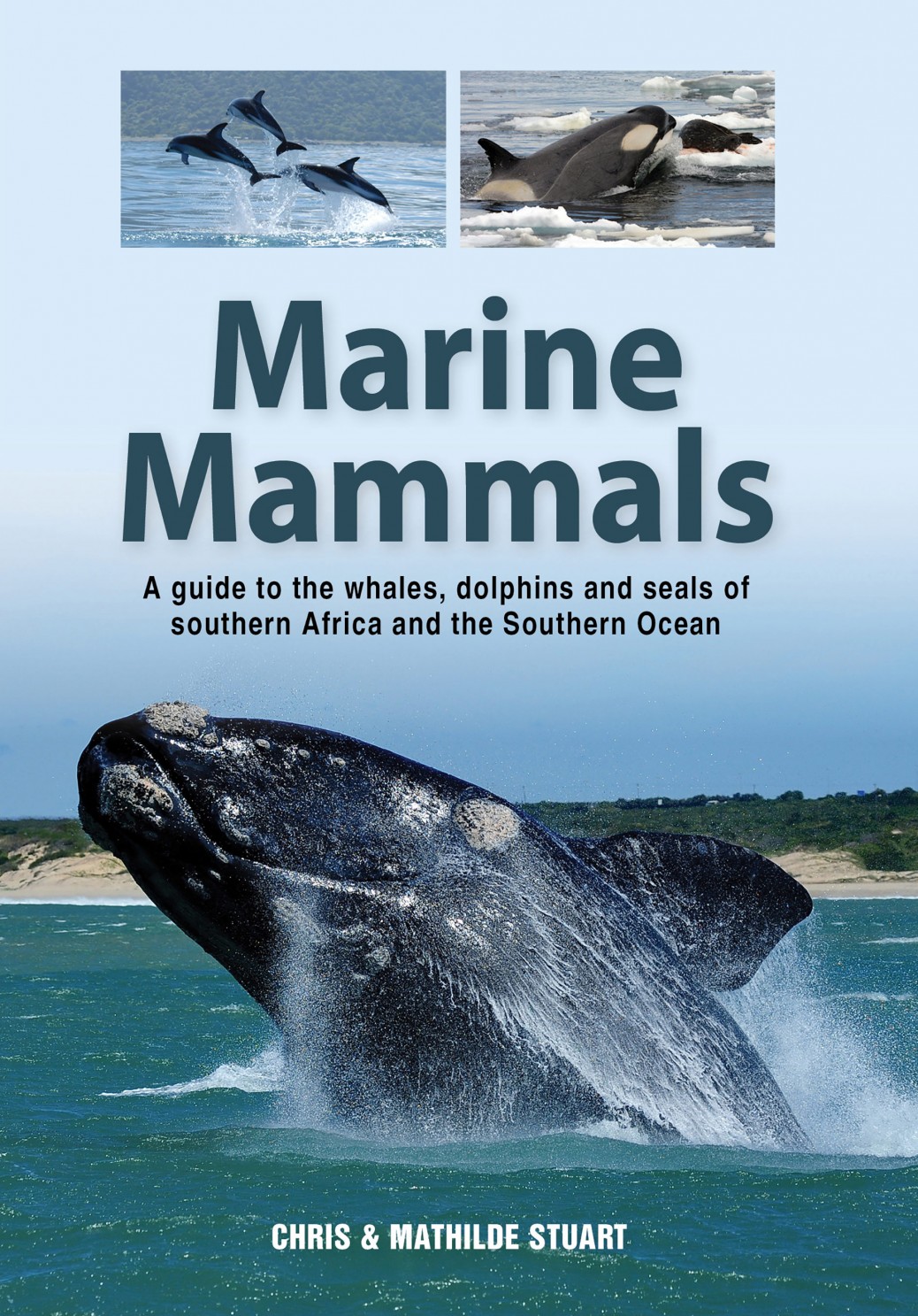 Book Review: Marine Mammals (of southern Africa and the Southern Ocean ...