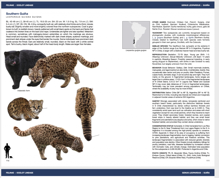 Book Review: Felids and Hyenas of the World, José R. Castelló ...
