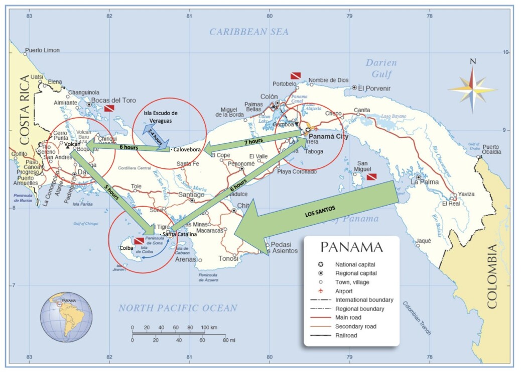 Panama: Pygmy Sloths and Rainforest Rodents, May 2022 - Mammal Watching